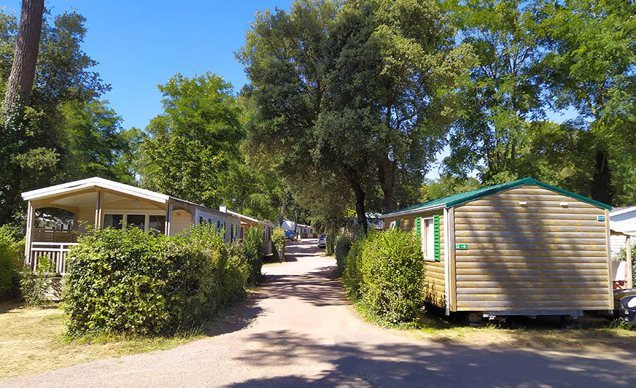 Bij Ons Op Het Kamp Kerstspecial: dit kun je verwachten | Ziggo ...