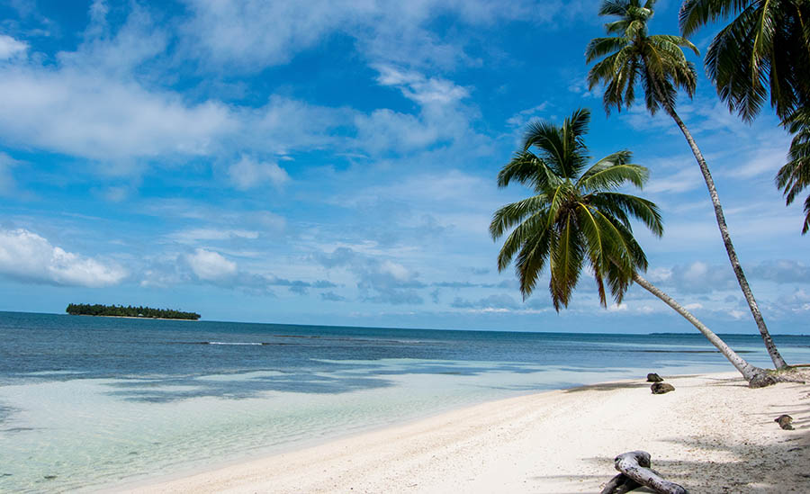 Expeditie Robinson 2025: dit kun je verwachten | Ziggo Entertainment